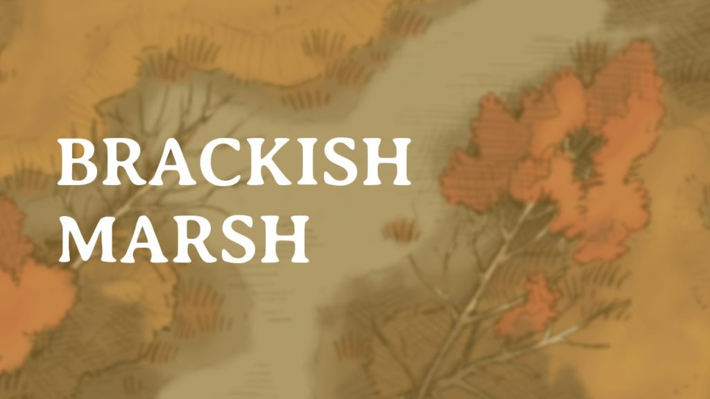 The Dungeon Vault map tile by 2-Minute Table Top