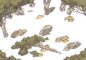 Australian Billabong Maps & Assets | 2-Minute Tabletop