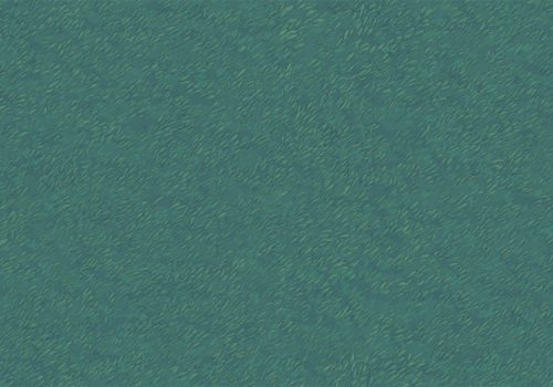 Seamless Grass Textures Battle Map Assets By 2 Minute Tabletop
