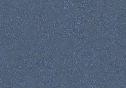 Tiling Grass Textures – Battle Map & Assets Pack by 2-Minute Tabletop