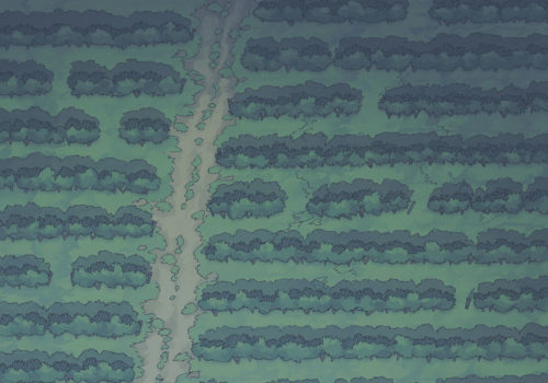 Vineyard Battle Map | Fantasy Maps & Assets from 2-Minute Tabletop