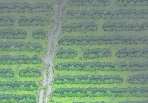 Vineyard Battle Map – Map Variants & Assets by 2-Minute Tabletop