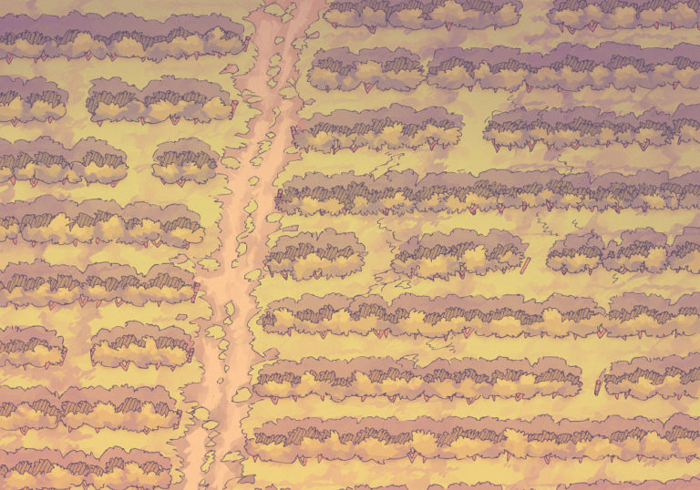 Vineyard Battle Map – Map Variants & Assets by 2-Minute Tabletop