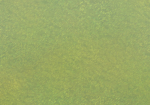 The Basic Terrain Pack | Hand-Drawn Battle Maps by 2-Minute Tabletop