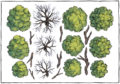 Forest Treetop Map Assets | Hand-Drawn Trees from 2-Minute Tabletop
