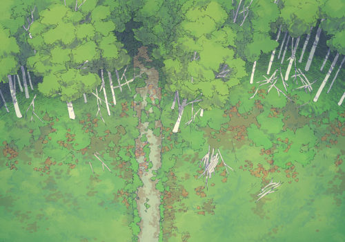 The Edge of the Woods Battle Map | 2-Minute Tabletop