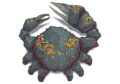 Colossal Crab | Sea Monster Tokens by 2-Minute Tabletop