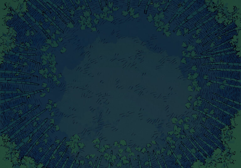 The Bamboo Glade Pack | Maps & Assets by 2-Minute Tabletop