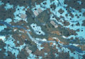 The Forest Camp Pack | Maps & Assets by 2-Minute Tabletop