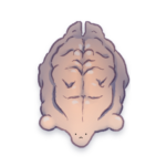 Ooze on the Loose – Elemental Ooze Encounter for D&D 5E