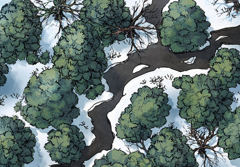 The Winter Wilderness Pack | Maps & Assets by 2-Minute Tabletop