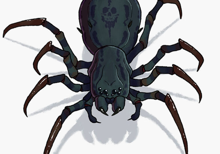 The Sinister Spider Encounter Assets | 2-Minute Tabletop
