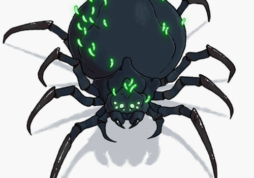 The Sinister Spider Pack | Maps & Assets by 2-Minute Tabletop