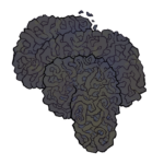 Rooted in Wrath - Corrupted Plant Encounter for D&D 5e