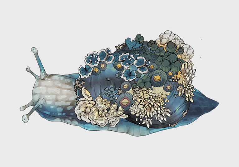 The Colossal Snail Pack | Maps & Assets by 2-Minute Tabletop