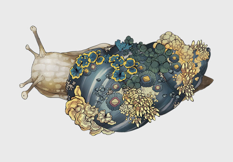 The Colossal Snail Pack | Maps & Assets by 2-Minute Tabletop