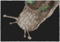 The Colossal Snail encounter assets by 2-Minute Tabletop