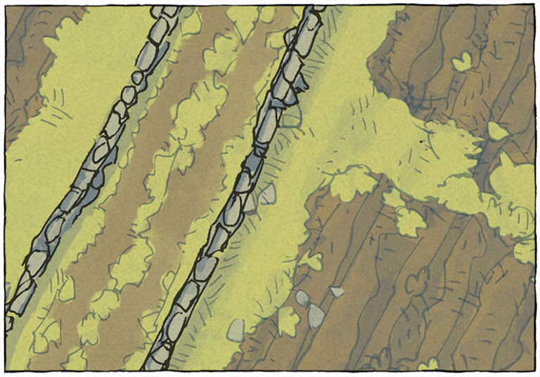 The Farmer's Fields battle map by 2-Minute Tabletop
