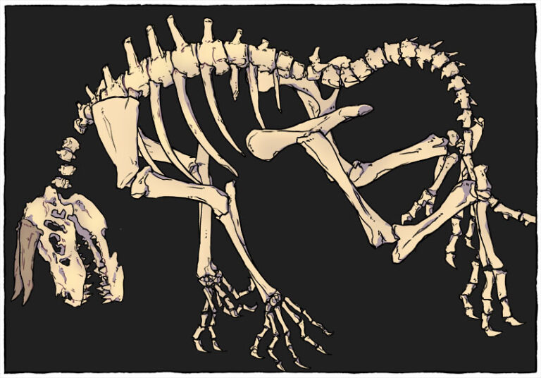 The Monster Bone Map Assets by 2-Minute Tabletop