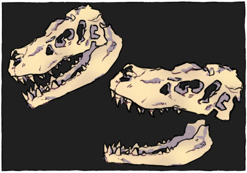 The Monster Bone Map Assets by 2-Minute Tabletop