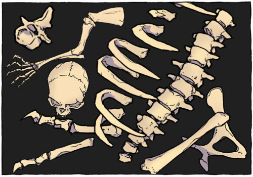 The Monster Bone Map Assets by 2-Minute Tabletop